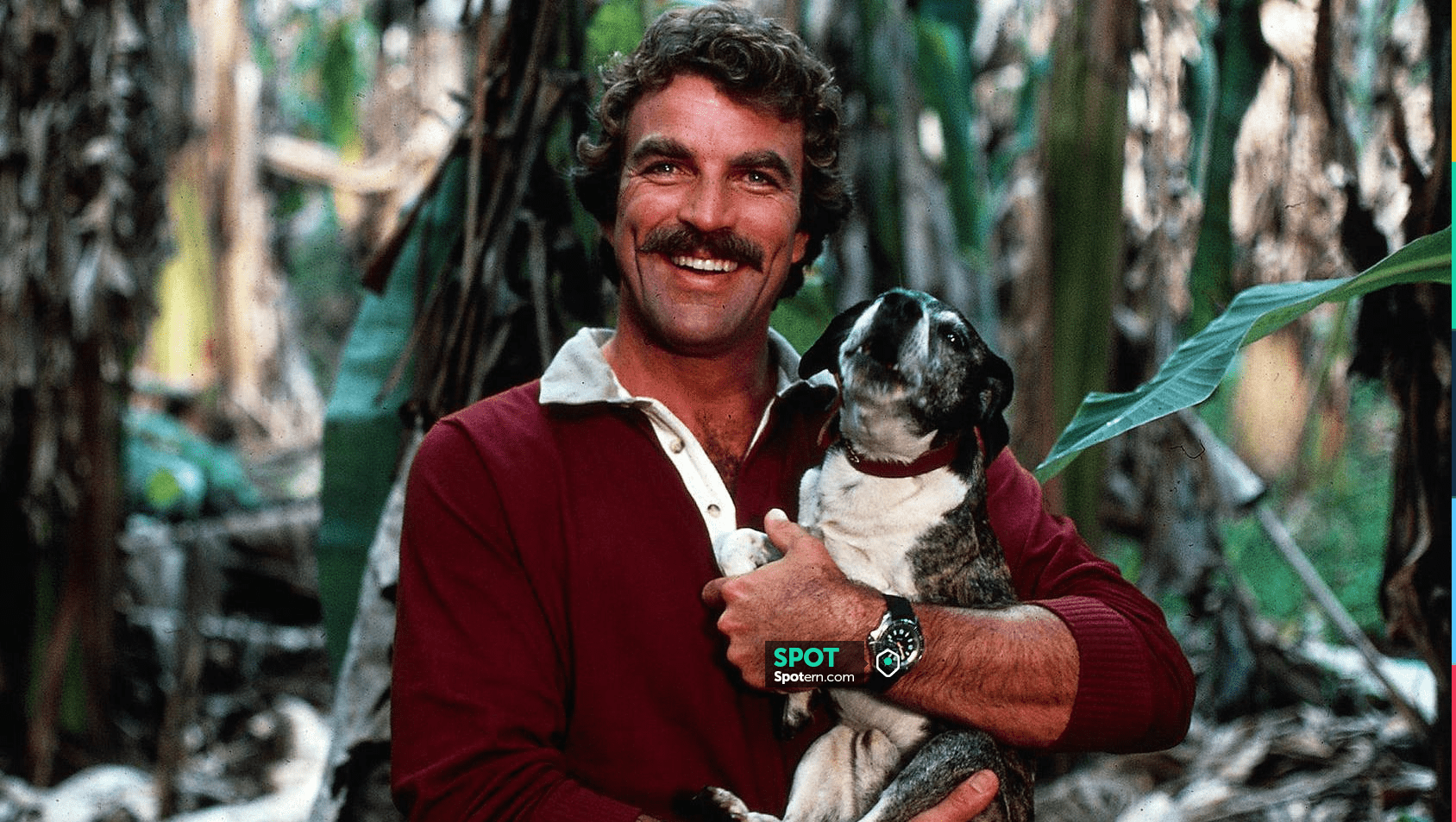The Sea Quartz Chronopots diver's watch worn by Thomas Magnum (Tom ...
