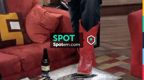 The Cowboy boots Ted Mosby in How I Met Your Mother | Spotern