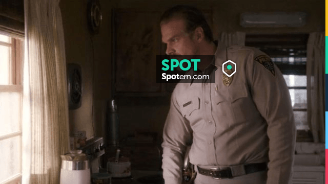 Hawkins Police Badge worn by Jim Hopper (David Harbour) as seen in ...