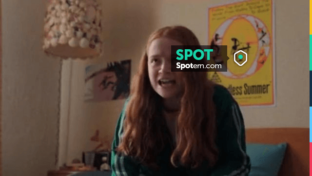 the poster "The Endless Summer" in the bedroom of Max (Sadie Sink) in ...