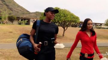 Tani Rey (played by Meaghan Rath) outfits on Hawaii Five-0