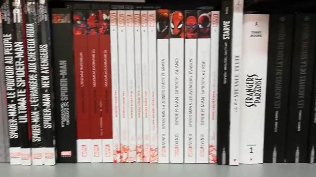 Comics MARVEL : Spider-Man - The Inner Child | Spotern