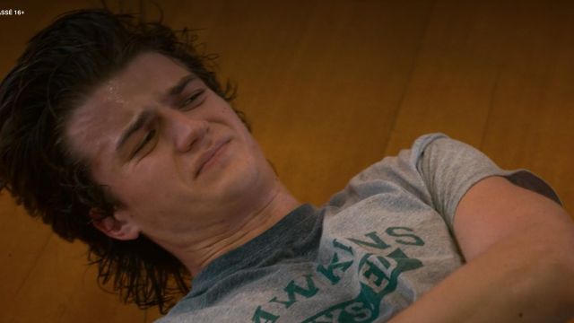 The t-shirt ‘Hawkins Phys. Ed’ worn by Steve Harringhton (Joe Keery) in ...