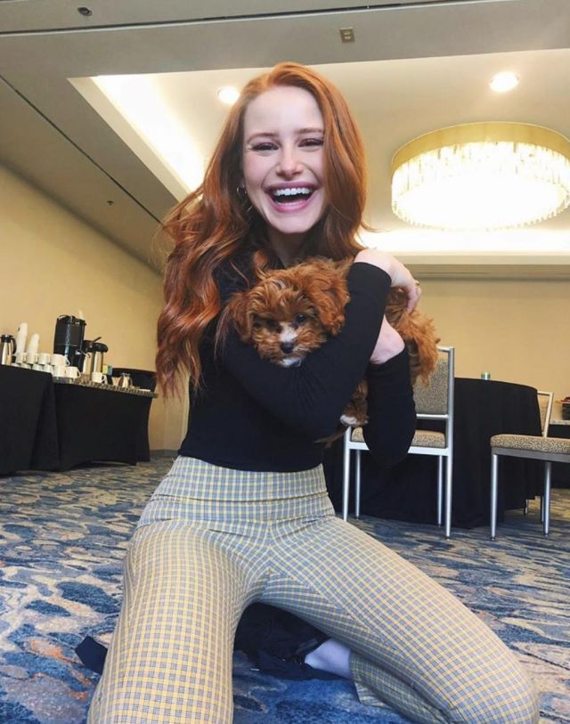 The gray pants plaid worn by Madelaine Petsch on his account Instagram ...