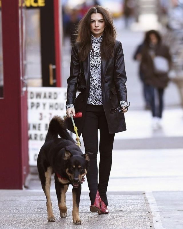 Celine Square Toe Leather Python Boots worn by Emily Ratajkowski New York City January 29, 2020 ...