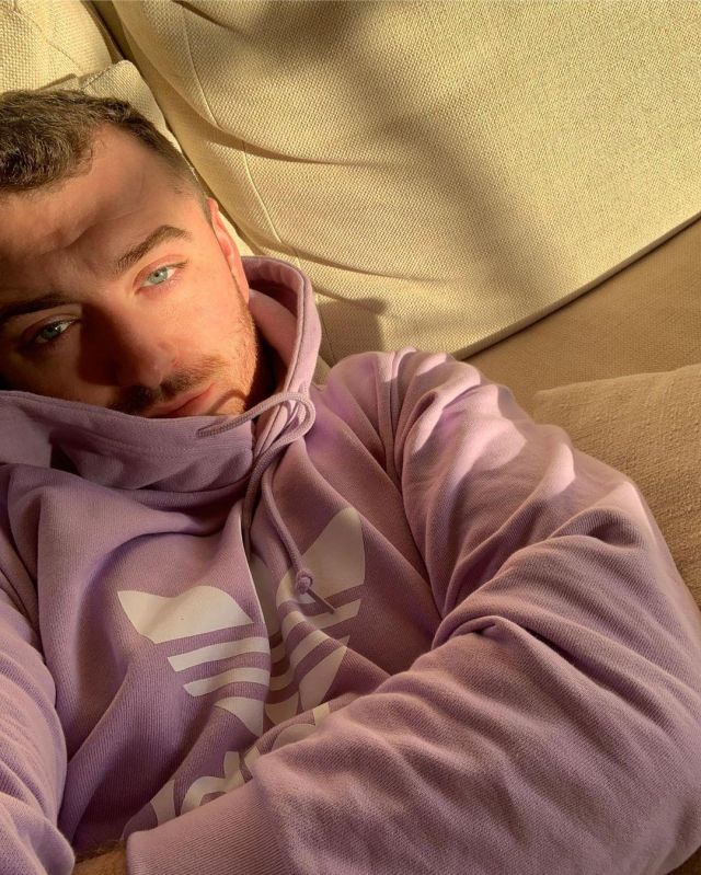 Adidas Originals Trefoil Hoodie worn by Sam Smith on the Instagram ...