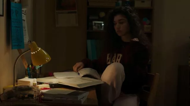 Champion Vintage Harvard University Sweatshirt worn by Benedetta Rohr ...