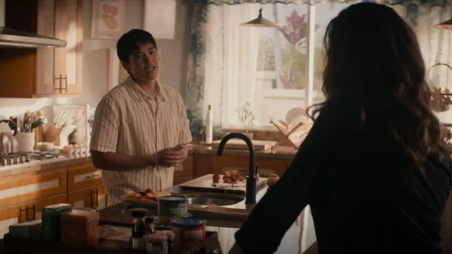 Quicksilver Oxford Lines Short Sleeve Shirt worn by Alex Tennant(Kian ...