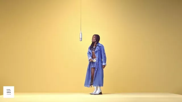 Diesel Denim long coat worn by Talia Goddess in her EVERYBODY LOVES A ...