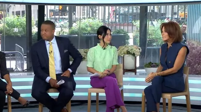 Veronica Beard Dell Pintuck Pants worn by Stephanie Ruhle as seen in ...