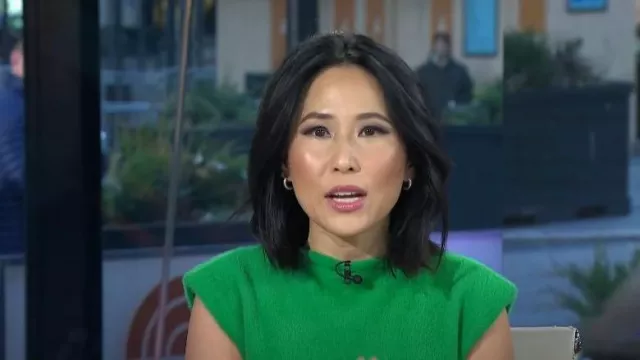 Simon Miller Runa Body-Con Dress worn by Vicky Nguyen as seen in Today ...