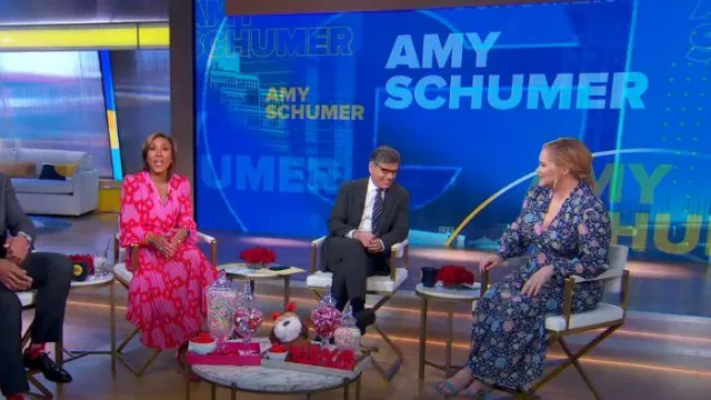 Vestido Rixo Trula en azul marino Camellia Garden usado por Amy Schumer ...