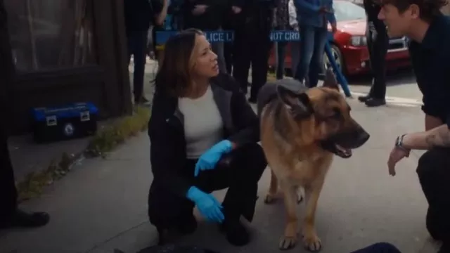 Club Monaco Long Sleeve Stitch Cashmere Sweater worn by Sarah Truong ...