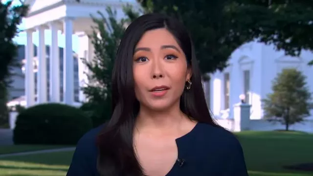 Black Halo Gyspy Rose Sheath Dress worn by Selina Wang as seen in Good Morning America on June ...