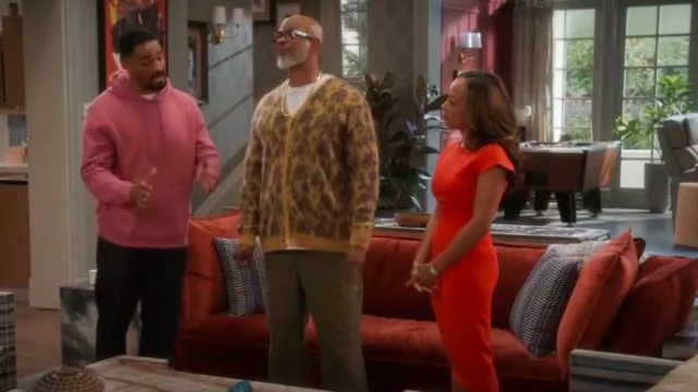Needles Mohair Cardigan Yellow worn by Poppa (Damon Wayans) as seen in ...