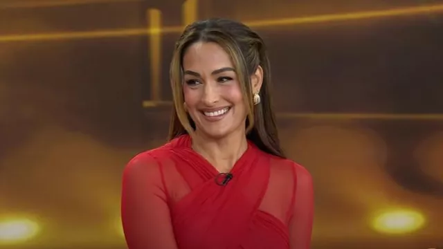Fashion Nova Serena Mesh Bodysuit worn by Nikki Bella as seen in Today ...