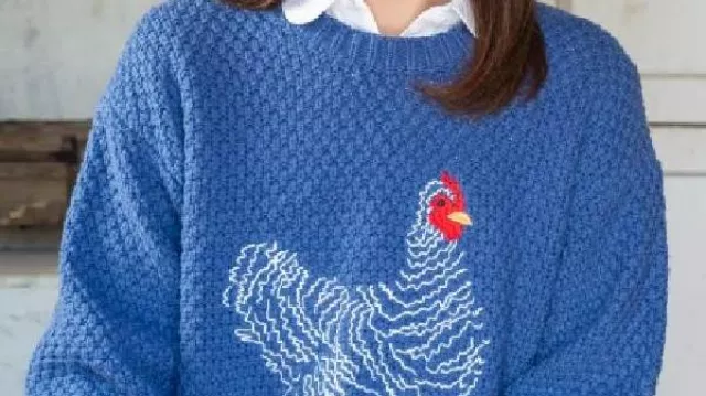 Chicken Embroidered Sweater worn by Molly Yeh in Today | Spotern