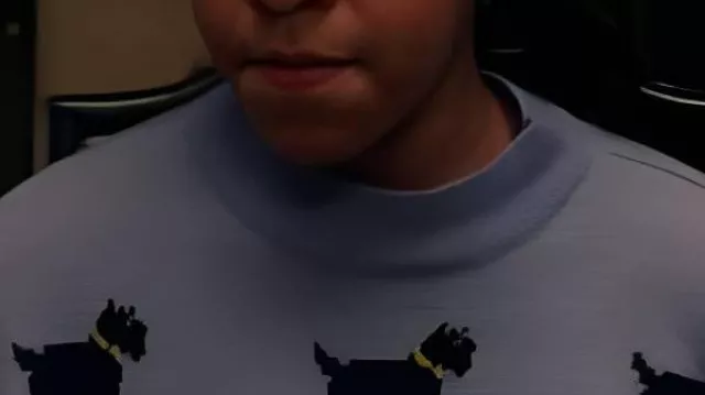 Stranger Things Saison 5 Erica Sinclair Pull de chien | Spotern