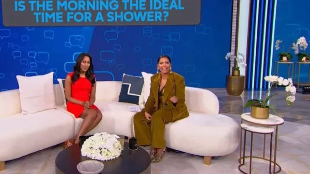 Magda Butrym 115 Snake-effect Leather Pumps worn by Tamron Hall as seen ...