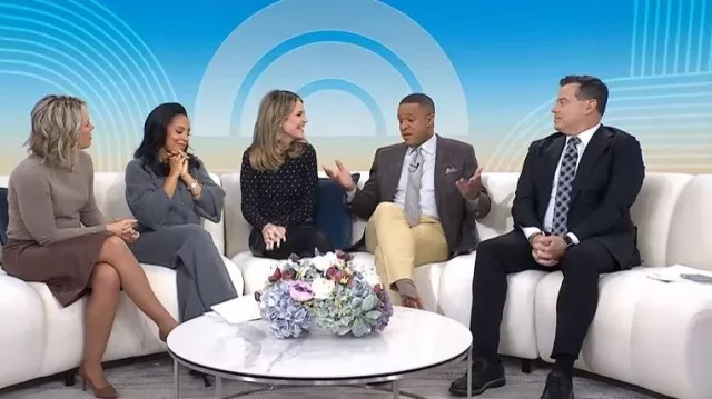 Frame Metallic Textured Mesh Top worn by Savannah Guthrie as seen in ...