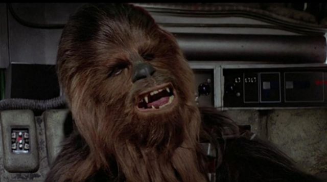 The disguise (mask + head) Chewbacca in Star wars | Spotern