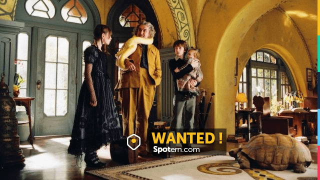 The cases of Violet, Klaus, and Prunille in The Disastrous Adventures ...