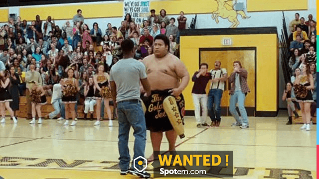 Sneakers Calvin Joyner (Kevin Hart) in Agents almost secret | Spotern