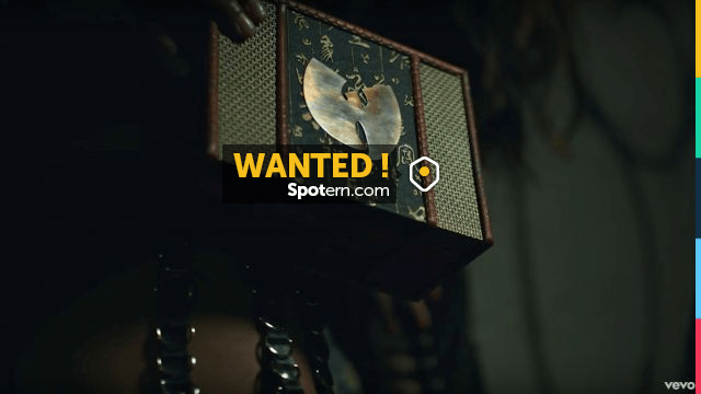 The box with the logo of the Wu-Tang Clan in the video People Say Wu ...