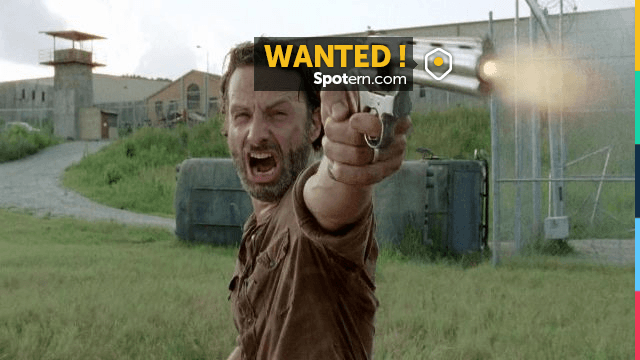 Le pistolet Colt Python de Rick Grimes (Andrew Lincoln) dans The ...