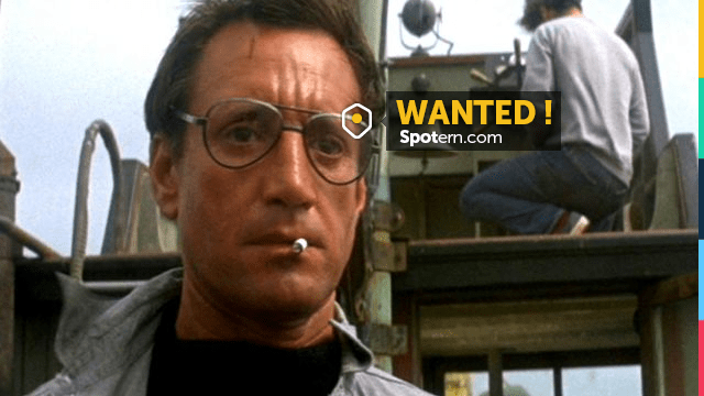 Glasses of view of Martin Brody (Roy Scheider) in jaws | Spotern