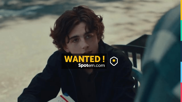 Jacket worn by Kyle Scheible (Timothée Chalamet) as seen in Lady Bird ...