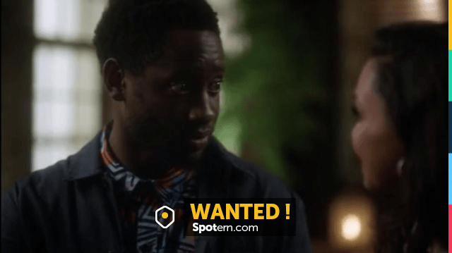 The colorful shirt of Chester P. Runk (Brandon McKnight) in the series ...