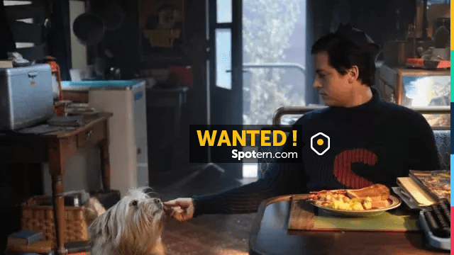 "S" Ribbed Sweater worn by Jughead Jones (Cole Sprouse) as seen in ...