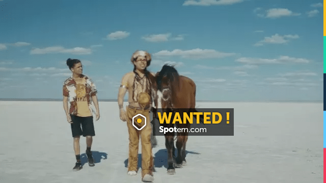 Brown pants worn by Spirit (Dallas Goldtooth) as seen in Reservation ...