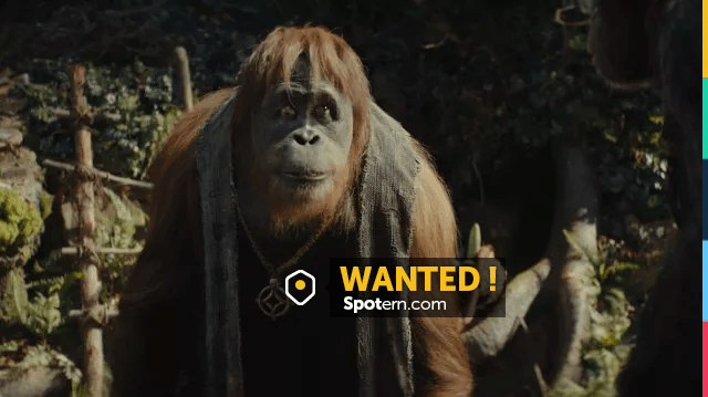 Pendant necklace worn by Raka (Peter Macon) as seen in Kingdom of the ...