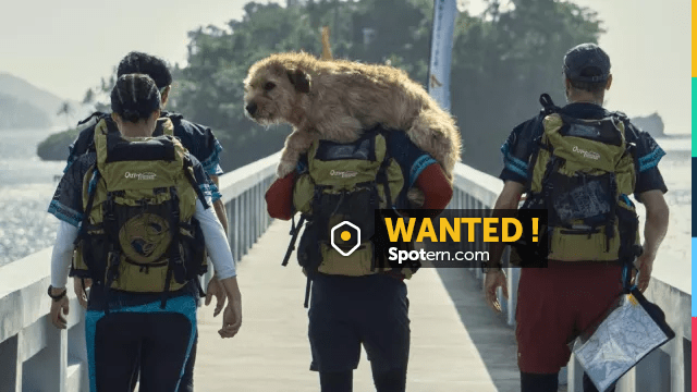 Backpack worn by Michael (Mark Wahlberg) as seen in Arthur the King ...