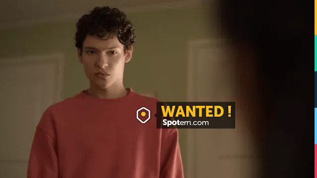 Pink crewneck worn by Simon (Omar Rudberg) as seen in Young Royals TV ...