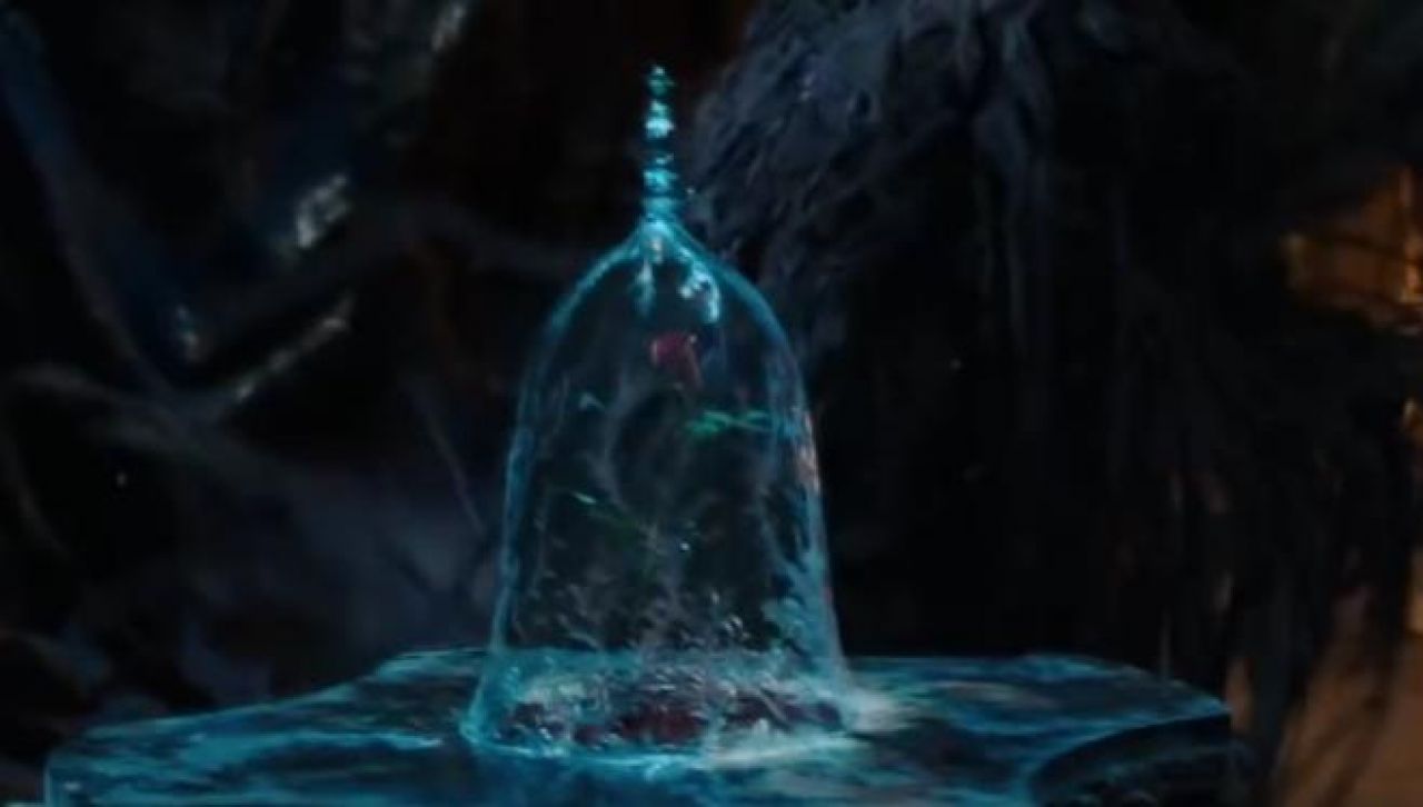 The replica of the rose enchanted in beauty and The beast | Spotern