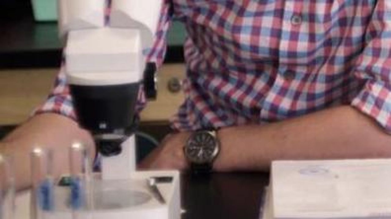 The watch worn by Alex Truelove (Daniel Doheny) in Alex Strangelove ...