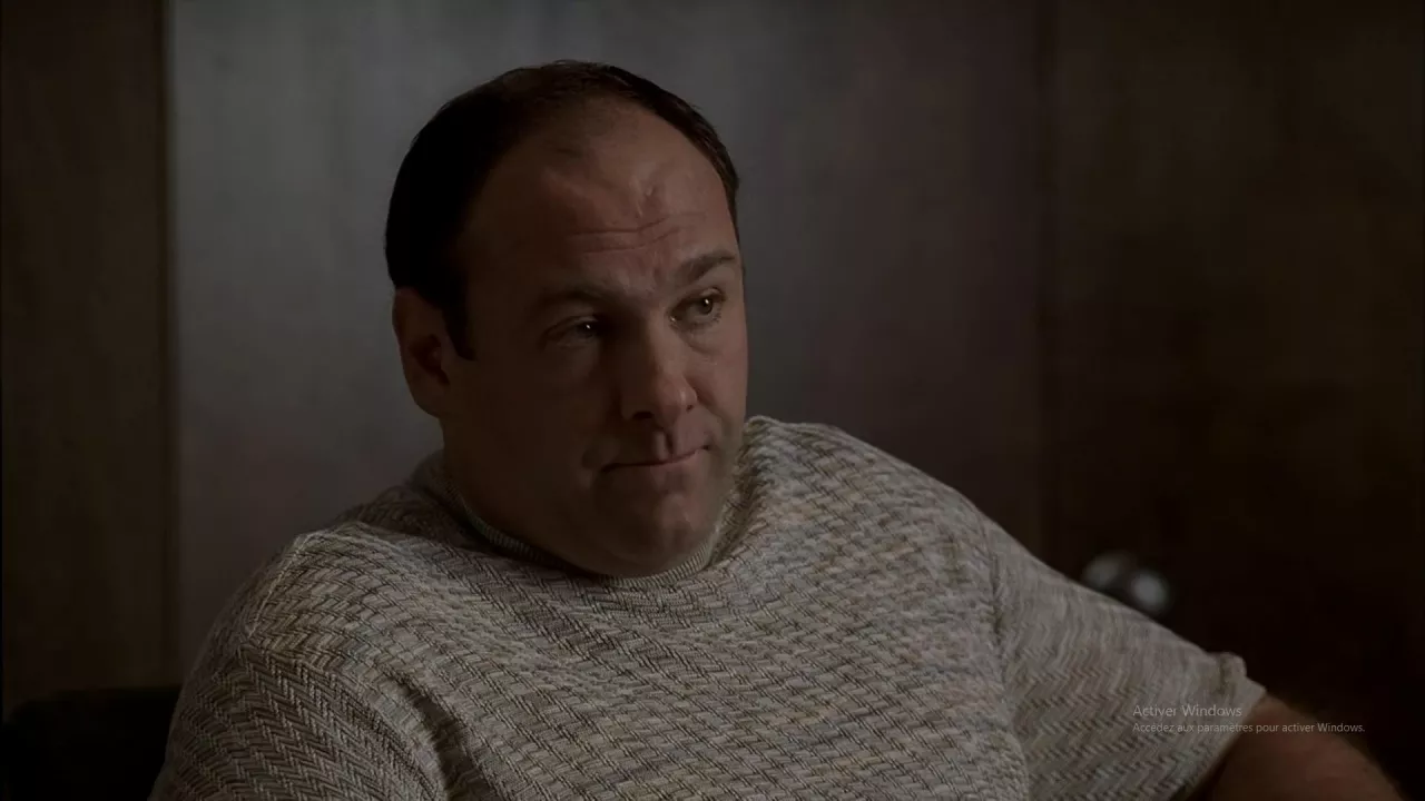 The woven sweater worn by Tony Soprano (James Gandolfini) in the series ...