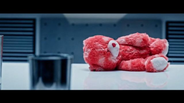 Teddy bear Bug in 400 Days | Spotern