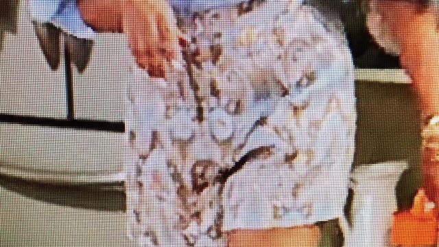 Blue shorts with golden patterns worn by Cocoa McKellan Tia Mowry in ...