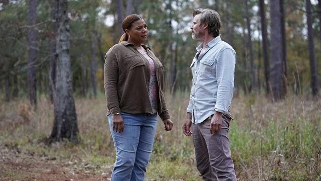 Brown Shirt worn by Willie May (Queen Latifah) as seen in The Tiger ...