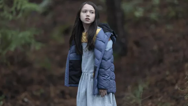 Dress worn by Cady (Violet McGraw) as seen in M3GAN movie outfits | Spotern