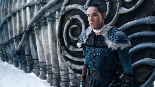 Blue Armor Costume worn by Sokka (Ian Ousley) as seen in Avatar: The ...